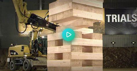Cats Playing Jenga  On Imgur