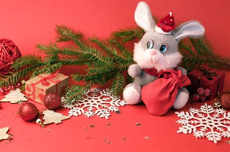 포장 된 선물 눈송이 및 크리스마스 장식과 산타 클로스 의상에 부드러운 장난감 토끼앉아있는 전나무 가지와 크리스마스 빨간색 배경 0명에 대한 스톡 사진 및 기타 이미지