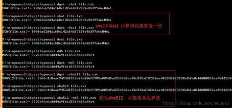 Openssl 命令详解（二）——摘要算法、签名、验签openssl Whirlpool Csdn博客