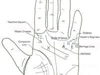 160 Palm Reading Ideas Palm Reading Palmistry Palmistry Reading