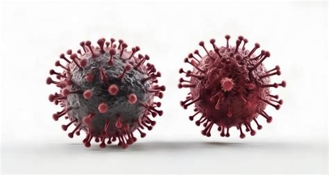 Premium Photo Viral Symmetry A Visual Exploration Of Virus Structure