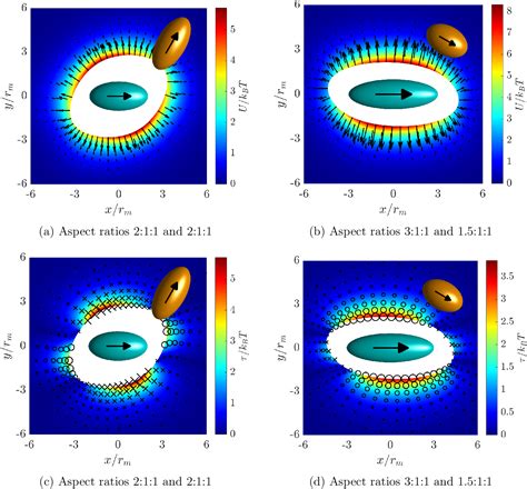 Figure 11 From Brownian Dynamics Simulations Of Interacting Magnetic Tri Axial Ellipsoids