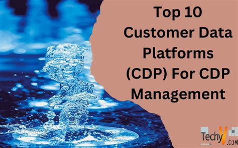 Top 10 Customer Data Platforms Cdp For Cdp Management