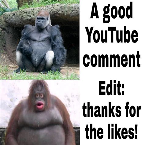 Edit Kill Me Now R Dankmemes