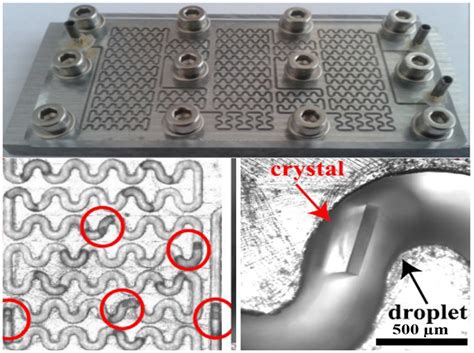 Microfluidic Platform With Serpentine Geometry Providing Chaotic Mixing In Induction Time