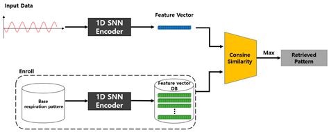 Detection Of Multiple Respiration Patterns Based On 1d Snn From Continuous Human Breathing