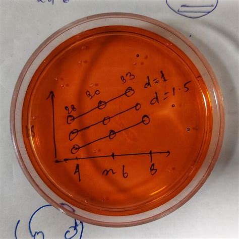Parvej Khan On Linkedin Nonlinear Dynamics Lab Iitg