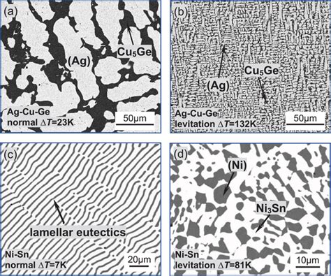 Dendritic And Eutectic Microstructures Of Agcuge And Nisn Alloys A Download Scientific