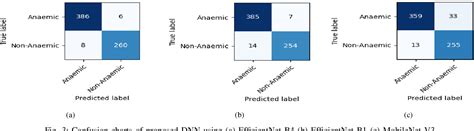 Figure 3 From A Multi Input Deep Neural Network Framework For Non Invasive Detection Of Anemia