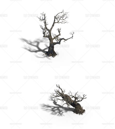 树木 古树模型 树木模型库 3ds Max Max 模型下载 Cg模型网