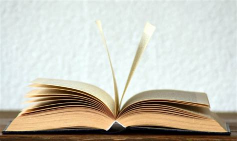 무료 사진 도서관 교육 문학 책 지혜 지식 연구