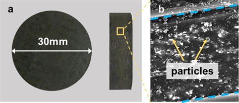 Morphologies Of The 50 Tsc Ph Composite A Macro Morphology And B