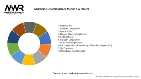 Membrane Chromatography Market Size Share Trends Analysis And Forecast 2025 2034 2025 2034