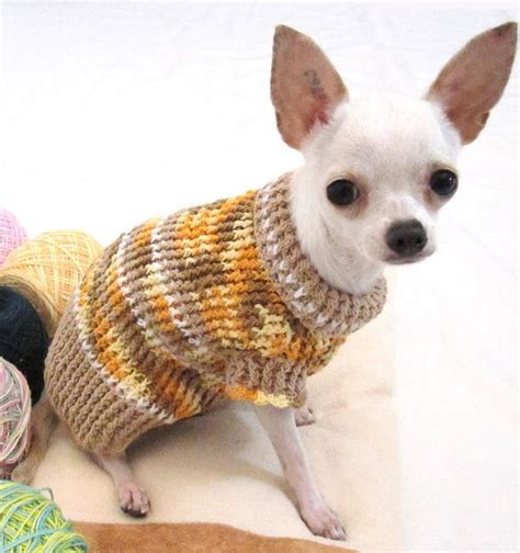 88 Long Hair Chihuahuas Ideas Chihuahua Chihuahua Love Chihuahua