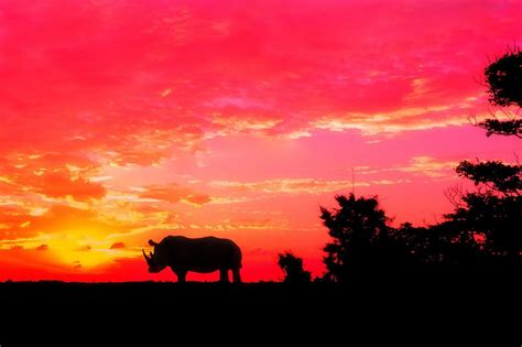 微软宣布typescript编译器原生版本，性能提升10倍