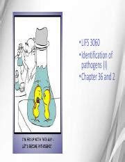 Guide To Pathogen Identification Techniques In Microbiology Course Hero