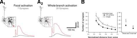 Spatiotemporal Conditions For Spike Initiation A Effect Of Spatial