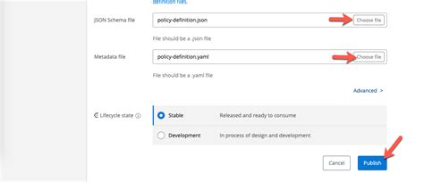 Publish Flex Gateway Policy To Exchange