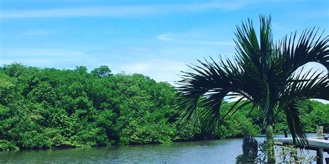 Turismo A Eusebio Nel 2021 Recensioni E Consigli Tripadvisor