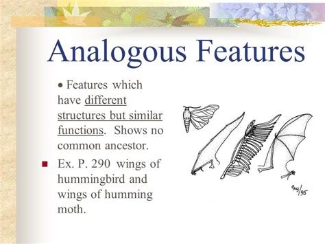 Analogous Structures Vs Homologous Structures