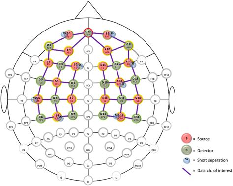Fnirs Montage Covering The Prefrontal Sensorimotor And Motor Areas