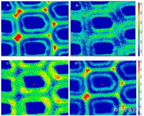 显微拉曼技术如何进行植物细胞壁的研究？ 知乎