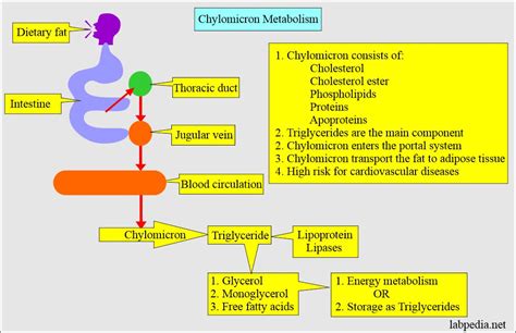 Chemical Pathology