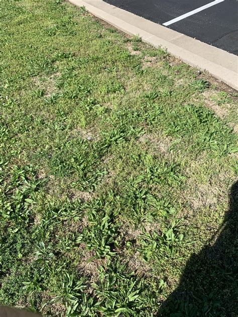 Find The Toad R Findthesniper