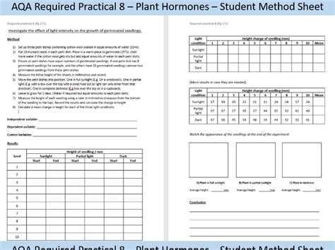 Aqa Plant Hormone Required Practical 8 Student Method Sheet Teaching