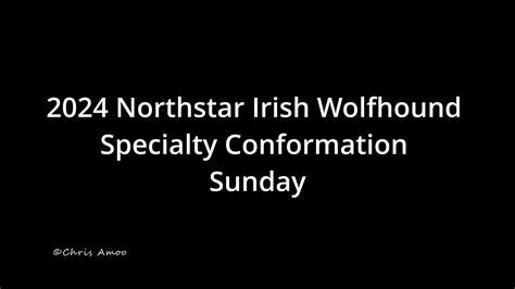 Niwc 2024 Show Chris Amoo Video