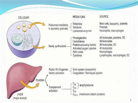 Inflammatory Mediators