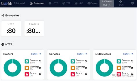 Traefik V30 Docker 全面使用指南：基础篇 知乎