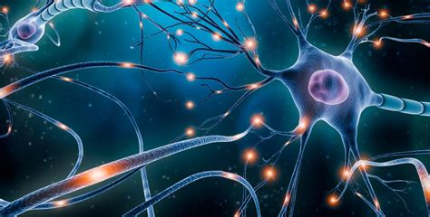 Vivistim® Lehigh Valley Health Network