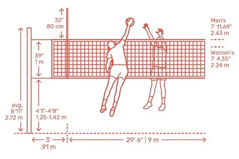 Rising Above The Measure Of Volleyball Net Height