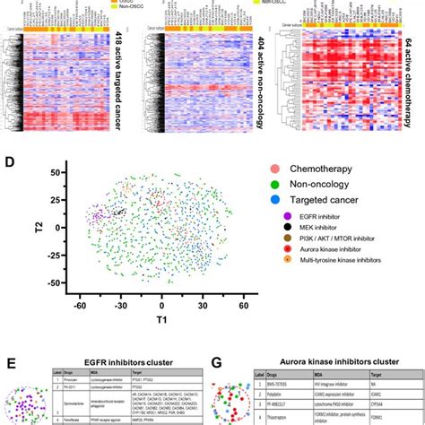 Visualization Of Drug Response Data Using Heatmap With Hierarchical Download Scientific Diagram