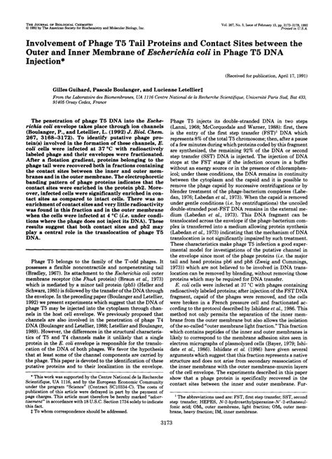 Pdf Involvement Of Phage T5 Proteins And Contact Sites Between The Outer And Inner Membrane Of