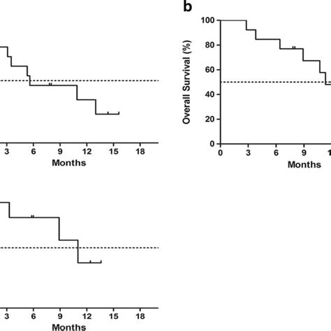 Survival Analysis Of Relapsed Refractory Dlbcl Patients Abc Subtype Download Scientific
