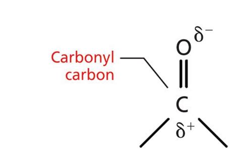 Carbonyl Group