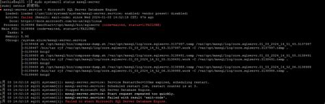 sql server 2019 standard version encountered system crash and cannot be