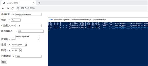Flask Wtforms 表单插件的使用 Lyshark 博客园