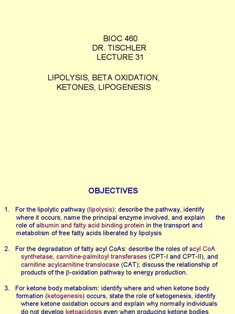 Lipolysis Lipogenesis Biochemistry Organic Compounds