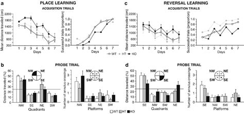 Dat Ko Mice Exhibit Normal Spatial Reference Memory But Show Disrupted Download Scientific