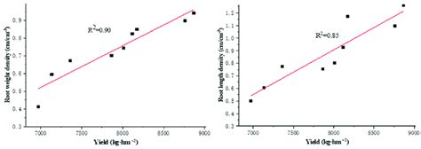 The Relationship Between Yield And Root Weight Density And Root Length