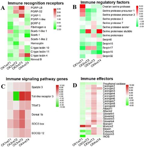 The Heatmap Of B Mori Differentially Expressed Related Immune Genes