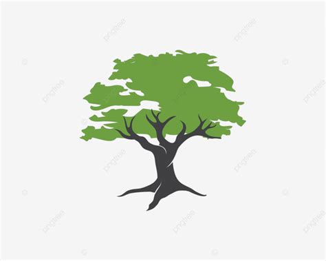 Tree Leaf Vector Logo Designeco Friendly Oak Growth Map Vector Oak Growth Map PNG And Vector