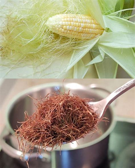 Onono Herbals 🪵☘️🌿 Ononoherbals On X Drying Corn For Hair Diy