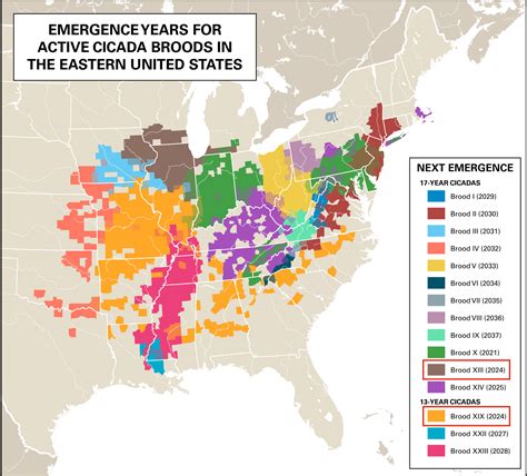 Coming This Spring… B School News