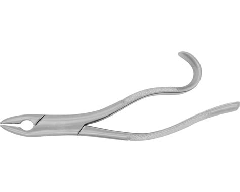 Extracting Forceps 288 Lower Bicuspid Cuspid Hook Handle 36 288 Supply Clinic