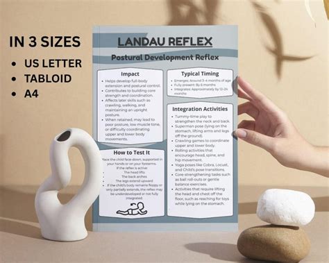 Retained Primitive Reflexes Guide Integration Handouts Primitive
