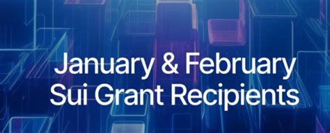 수이 재단 새로운 자금 조달 프로젝트 발표 가상화폐 에펨코리아